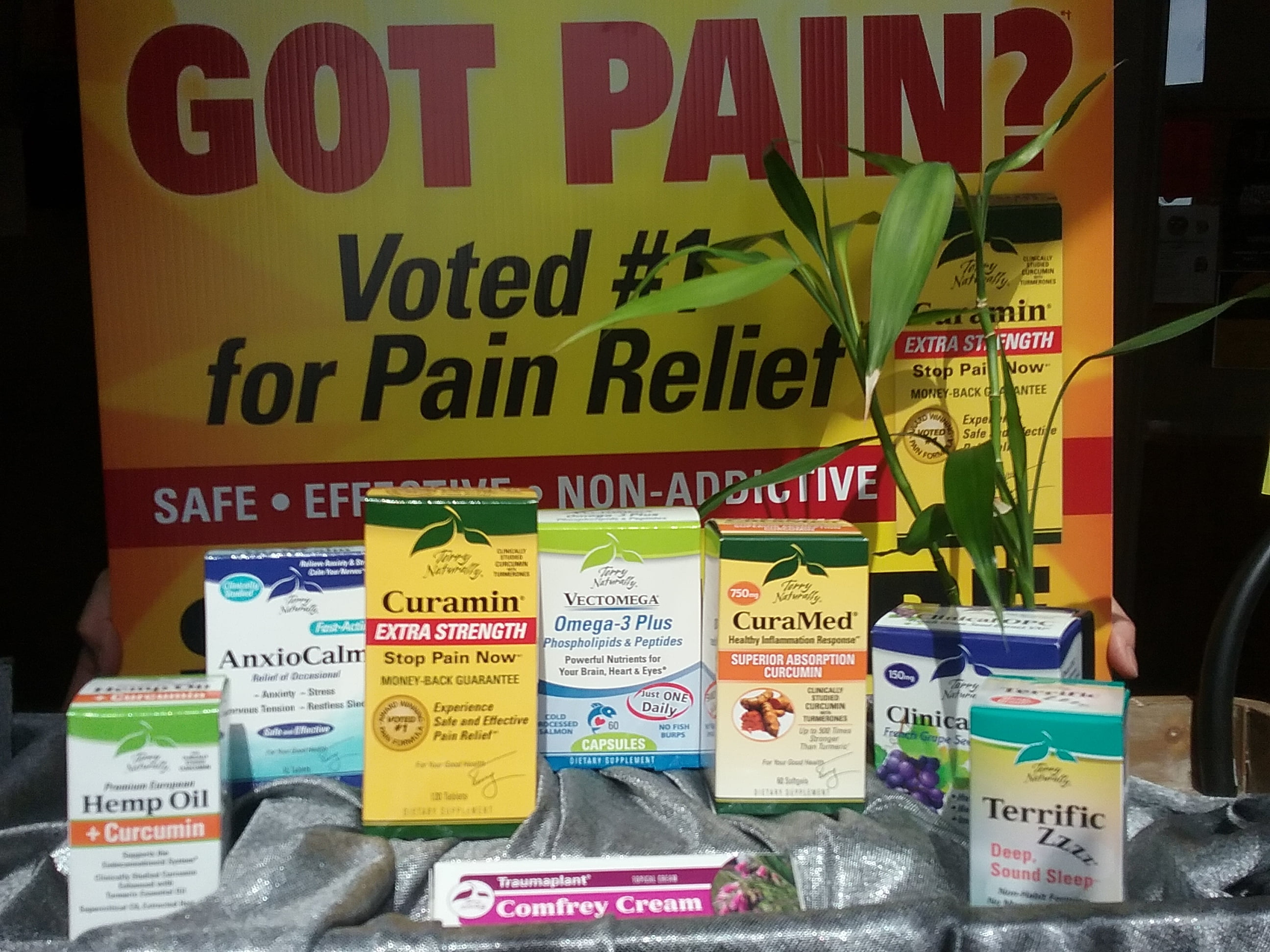 Terry Naturally – The House of Nutrition & Wellness